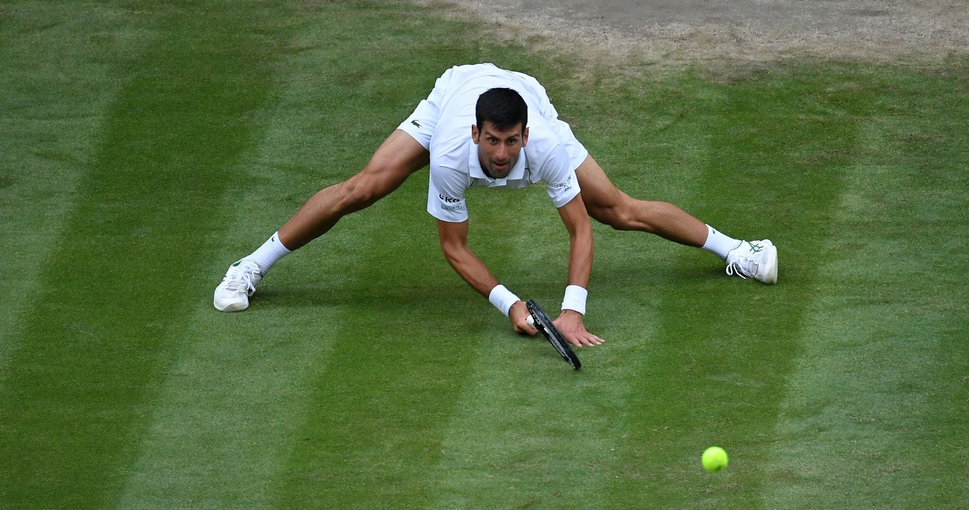 Spiderman Djokovic slides into another Wimbledon final - Tennis Majors
